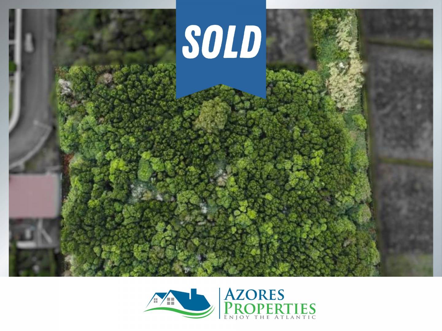 Beboste wijngaard in Madalena centrum, Pico eiland - Azores Properties