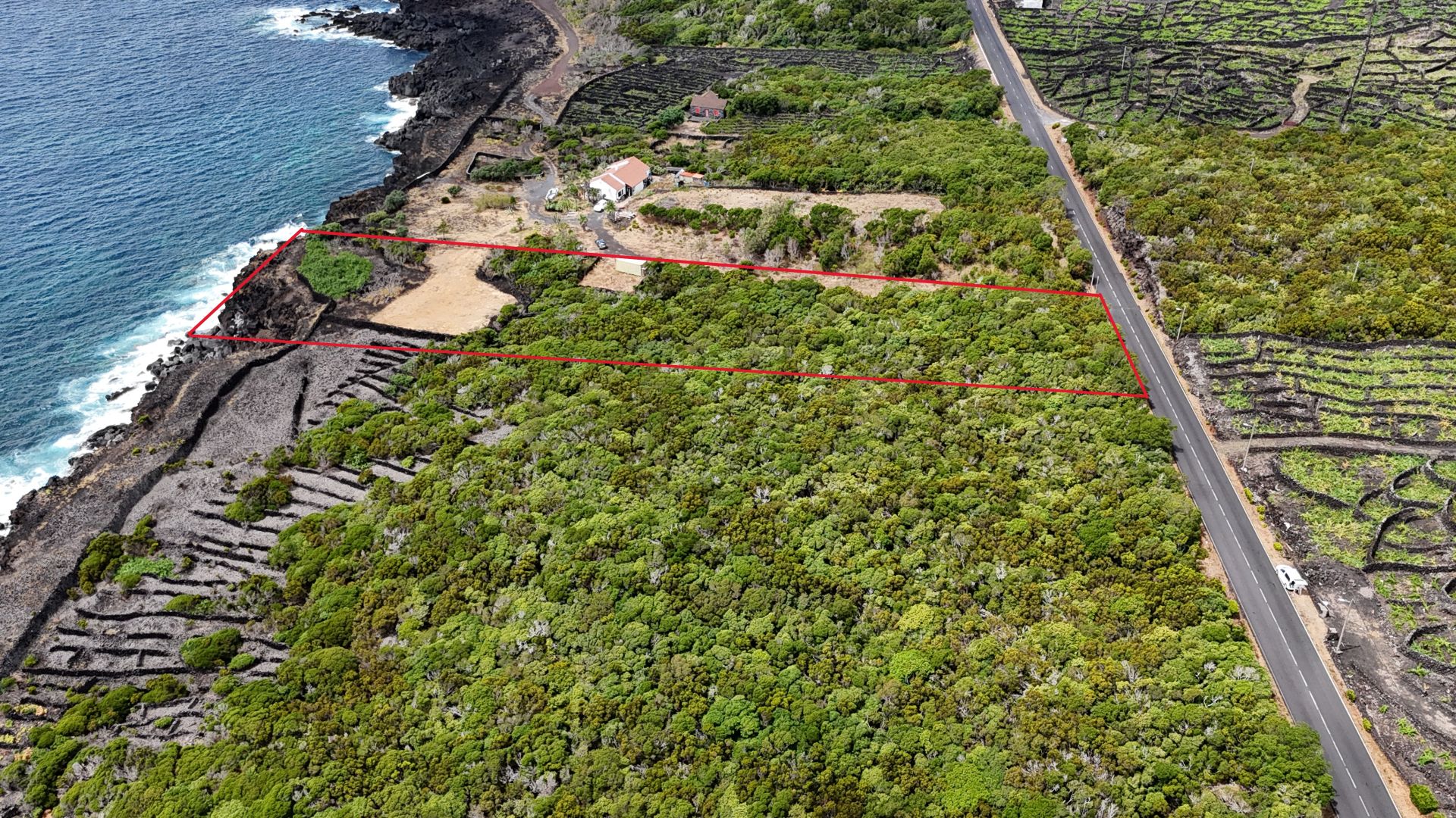 Large plot by the sea for building on Pico Island - Azores Properties