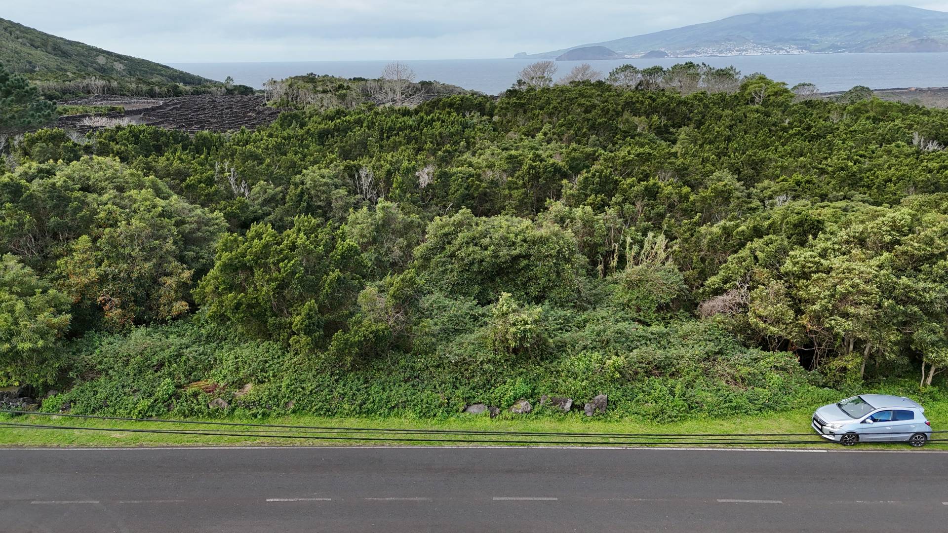 Rustic Plot in Monte – The Heart of Pico’s Wine Country - Azores Properties